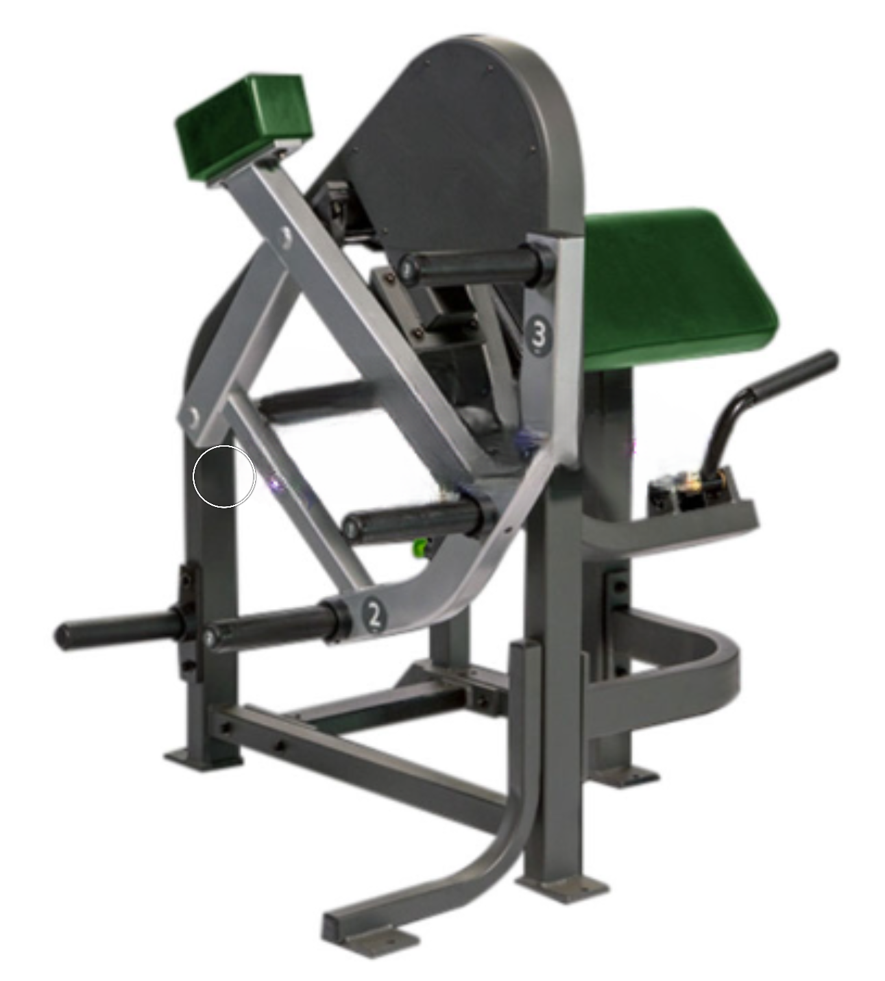 Plate Loaded Biceps Curl – Body Wrx